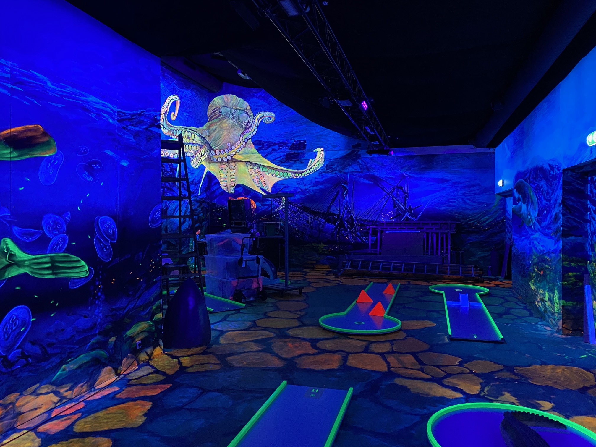Home - 5D Underwater Minigoolf